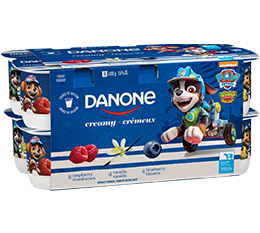 Danone Creamy Fruit Yogurt | Danone